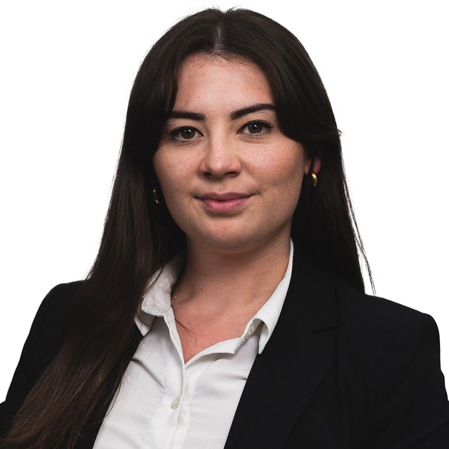 Team | The Pallinghurst Group